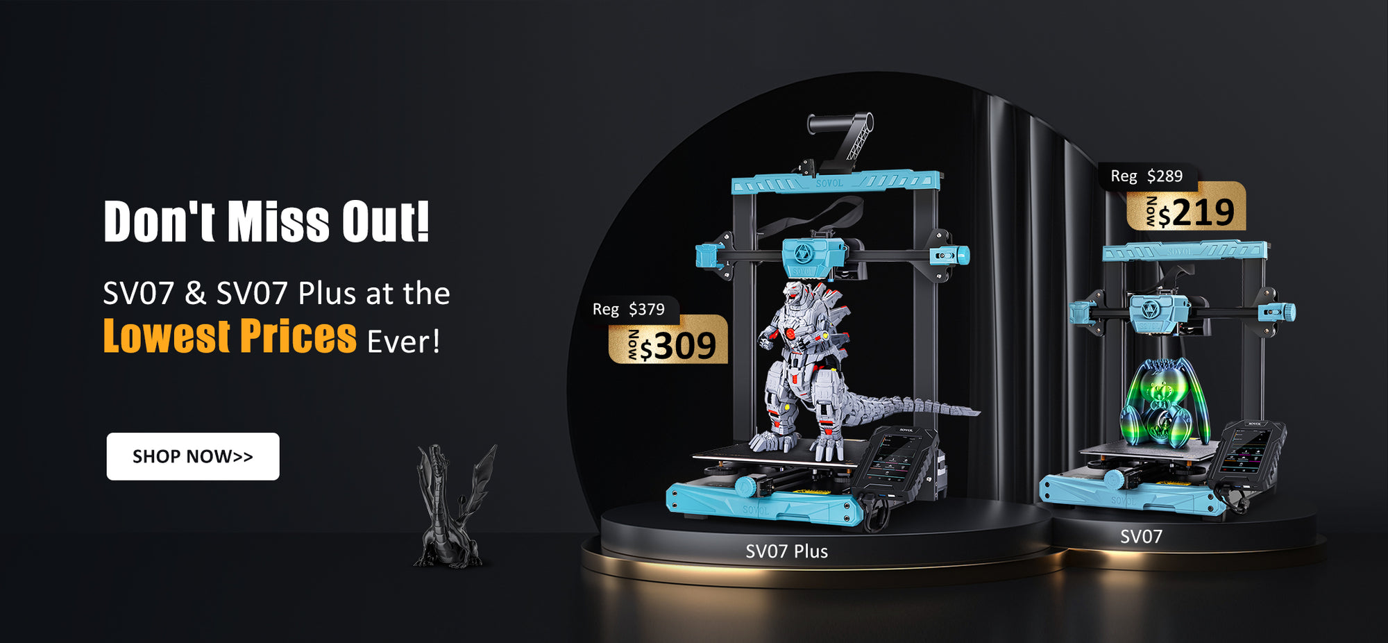 Sovol3D®official Store-Best Budget 3D Printer with advanced features